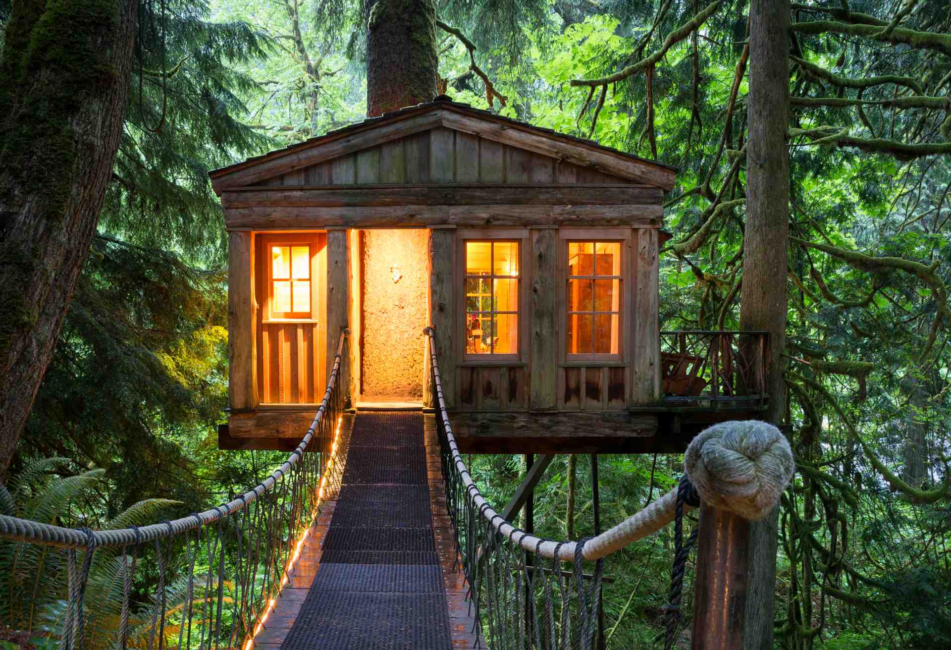 Hotels with Height: The World’s Nine Best Treetop Stays ...