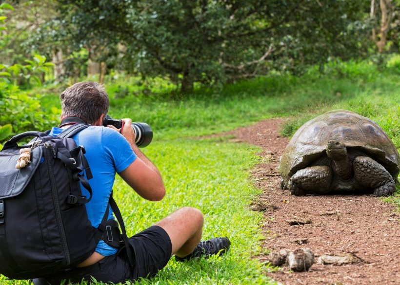 Best Wildlife Encounters: 8 Incredible Experiences Around the World ...