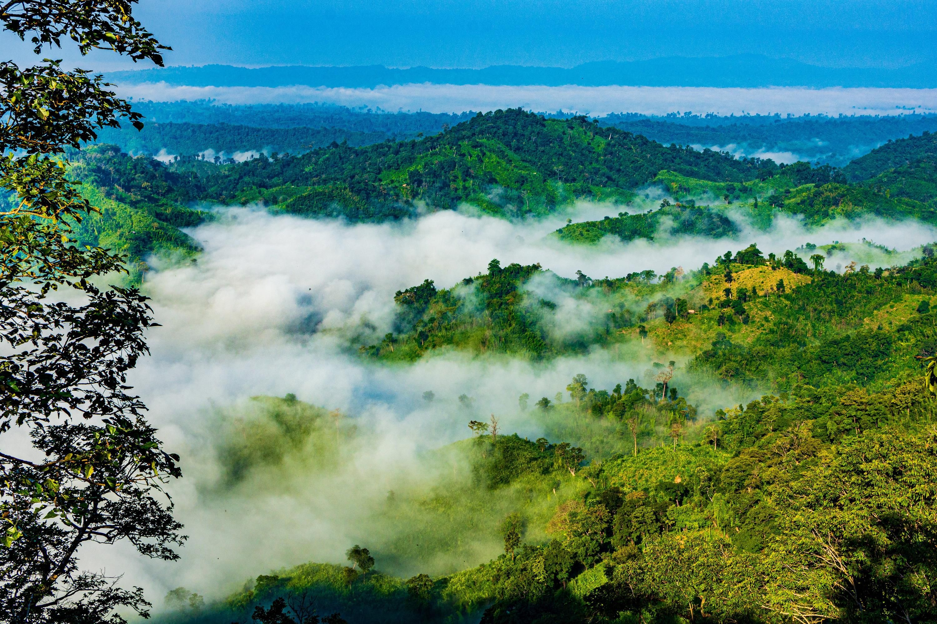 Sylhet Hotels: 111 Cheap Sylhet Hotel Deals, Bangladesh