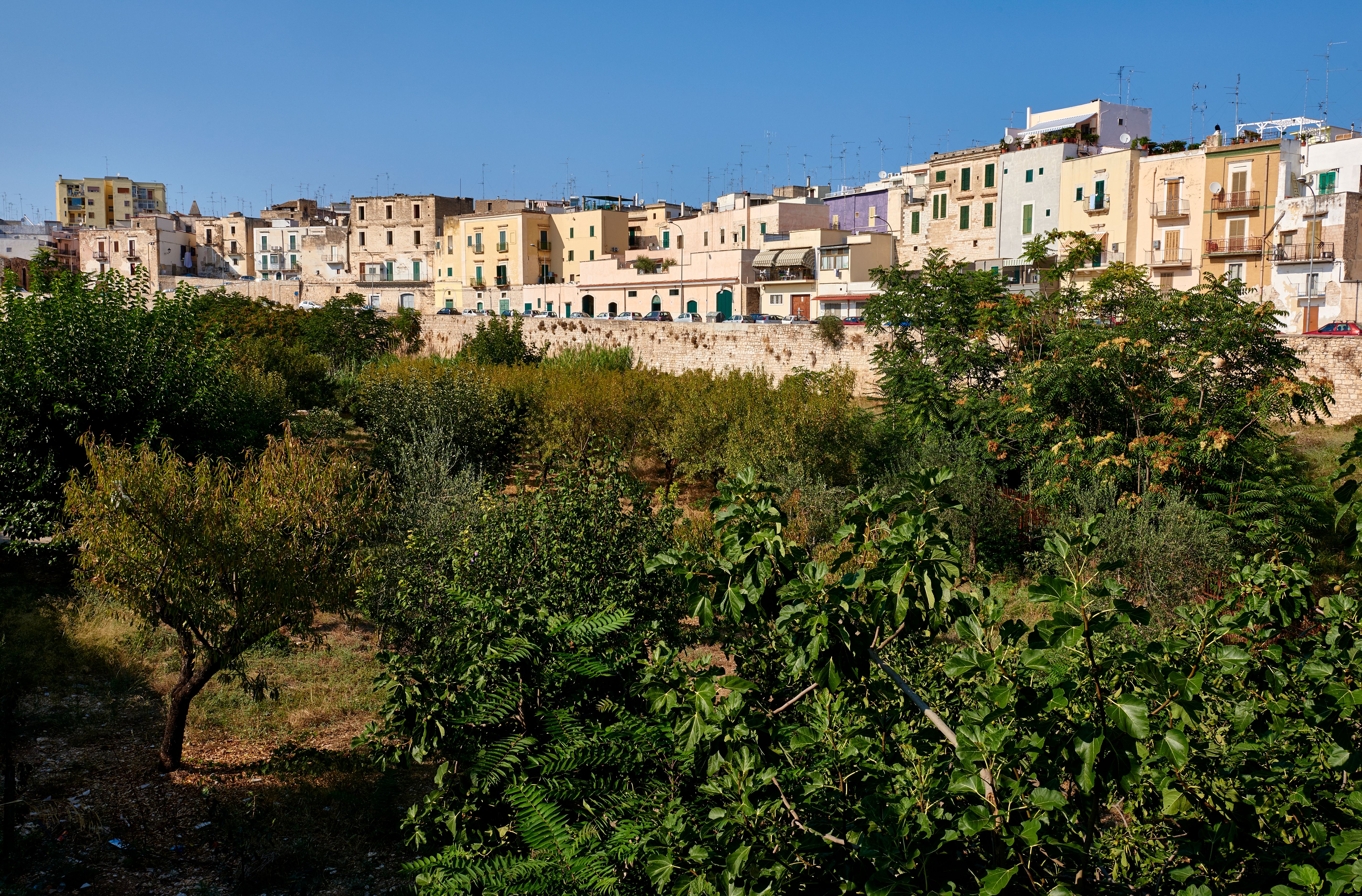 Bitonto Hotels: 103 Cheap Bitonto Hotel Deals, Italy