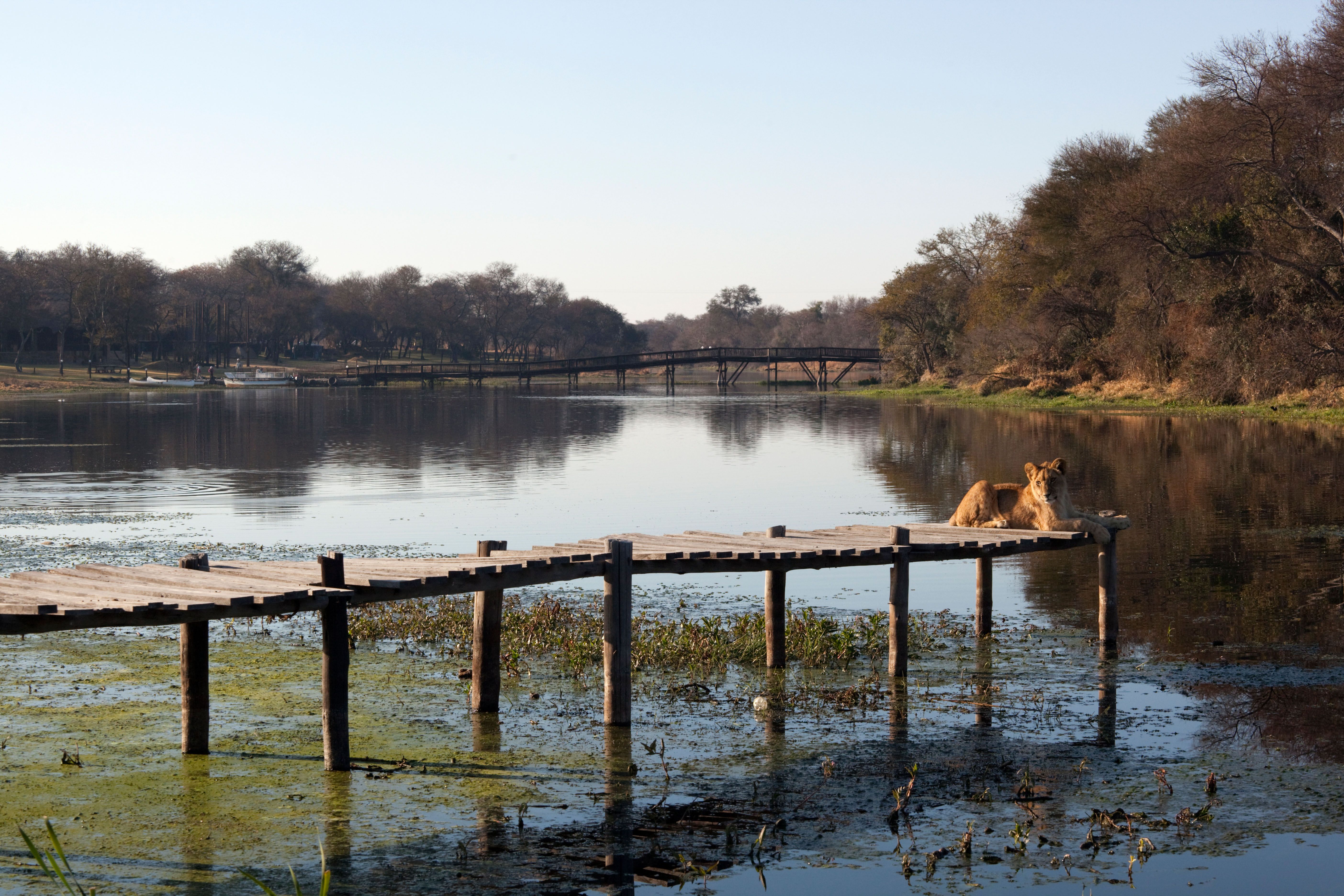 Gweru Hotels: Cheap Gweru Hotel Deals, Zimbabwe